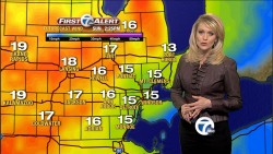 Hally Vogel - WXYZ 7 Detroit - Page 2 - TvNewsCaps
